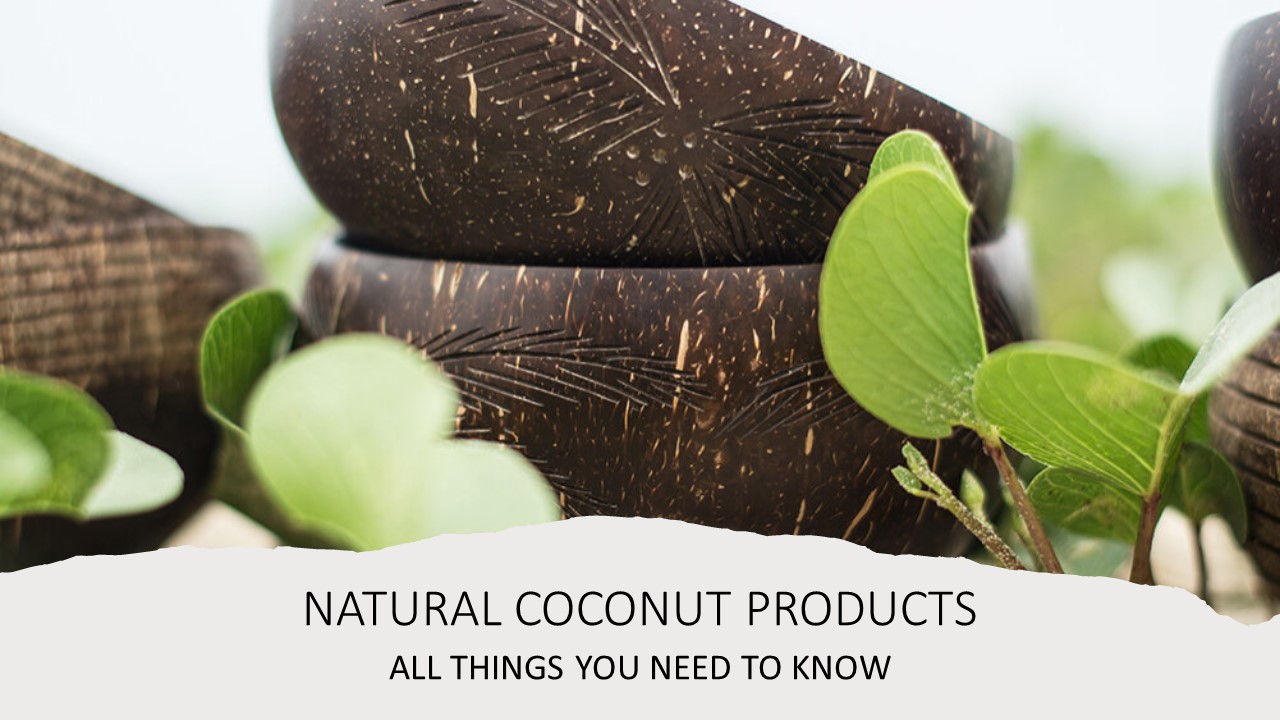 NATURAL COCONUT PRODUCTS – ALL THINGS YOU NEED TO KNOW – Arteco Phu Hy